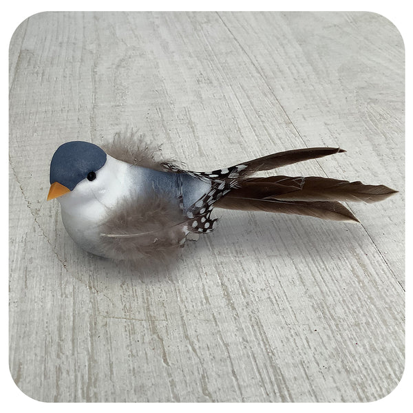 Bird with Blue Head and Polka Dot Wings Clip - Davenport Garden Centre
