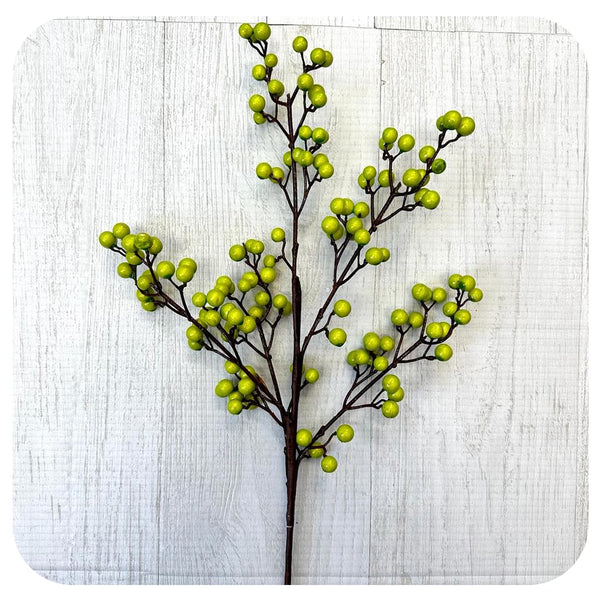 Berry Stem - Bright Green - Davenport Garden Centre