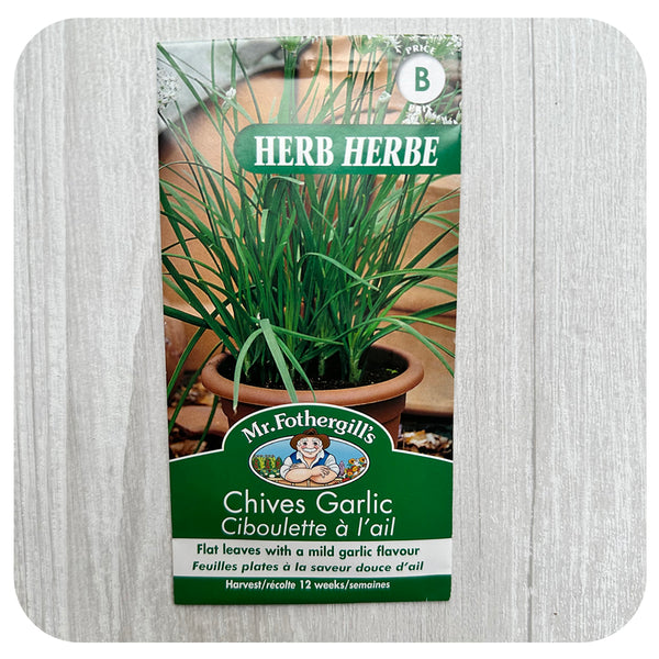 Garlic Chive Seeds - Davenport Garden Centre