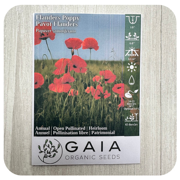 Flanders Poppy Seeds (Organic) - Davenport Garden Centre