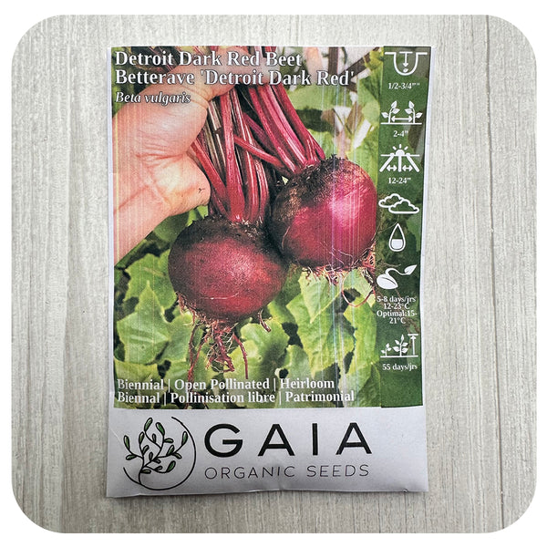 Beet "Detroit Dark Red' Seeds (Organic) - Davenport Garden Centre