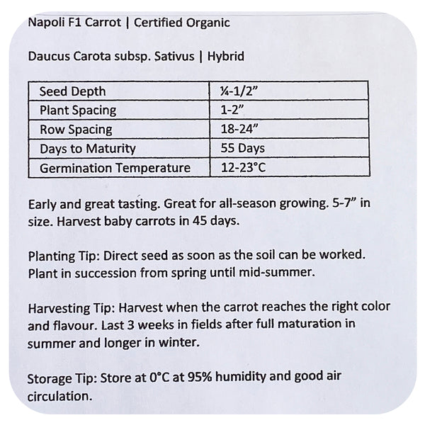 Carrot Napoli Seeds (Organic) - Davenport Garden Centre