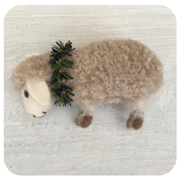 Fuzzy Sheep - Davenport Garden Centre