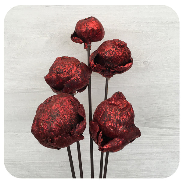 Palm Tender - Davenport Garden Centre