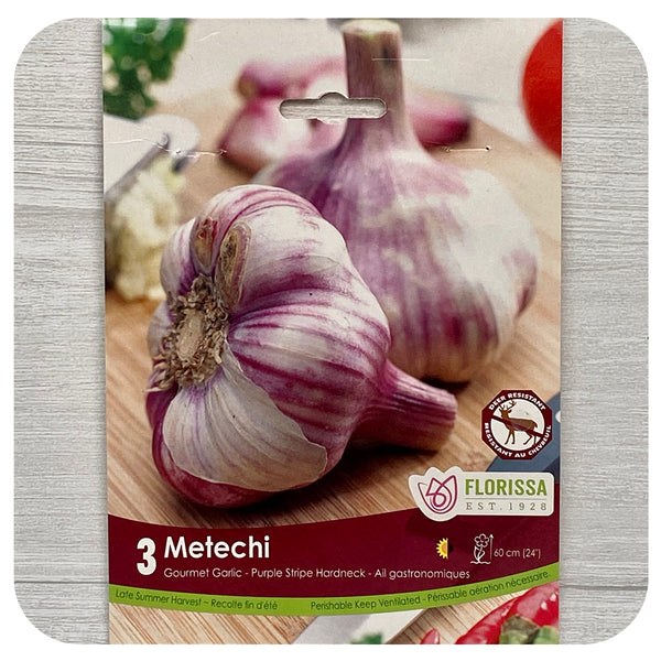 Garlic 'Metechi' - Davenport Garden Centre