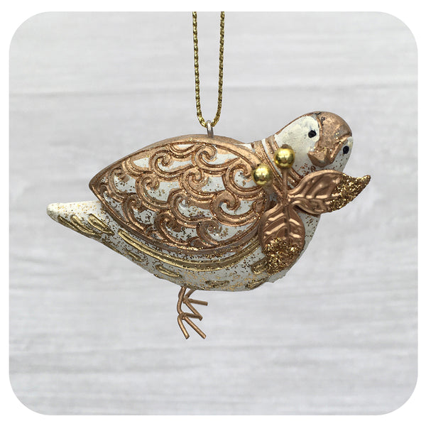 Golden Partridge - Davenport Garden Centre