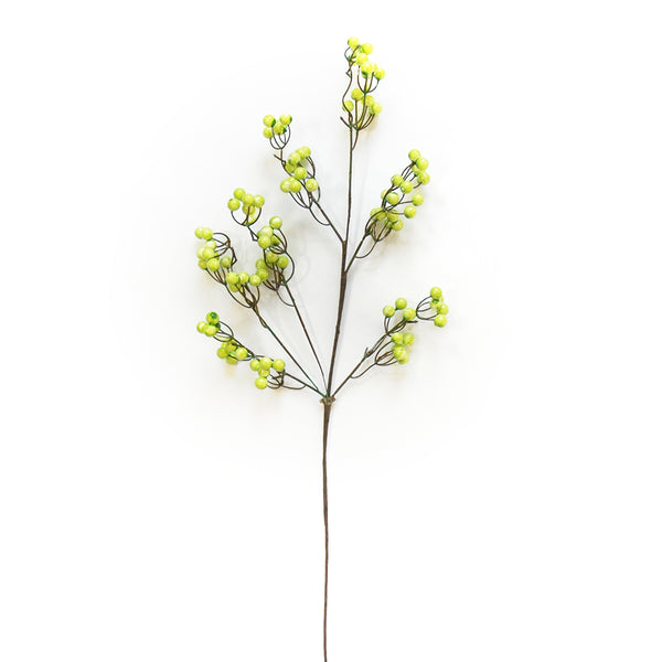 Berry Stem - Green - Davenport Garden Centre