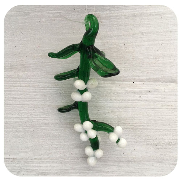 Glass Mistletoe - Davenport Garden Centre