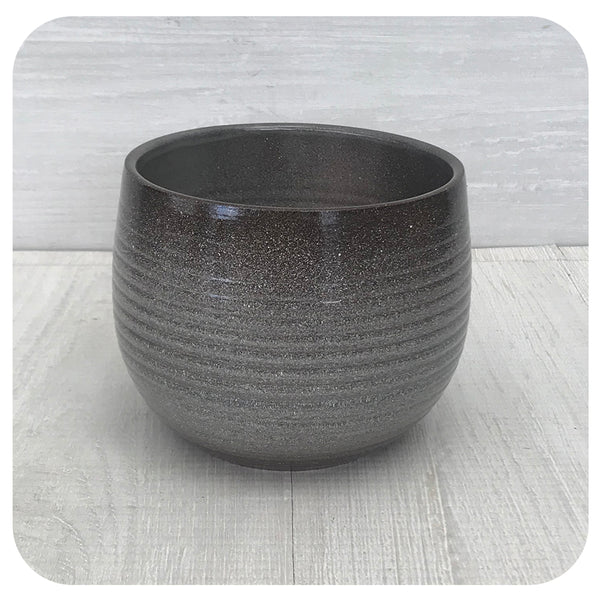 Scheurich Wild Pot Collection - Davenport Garden Centre